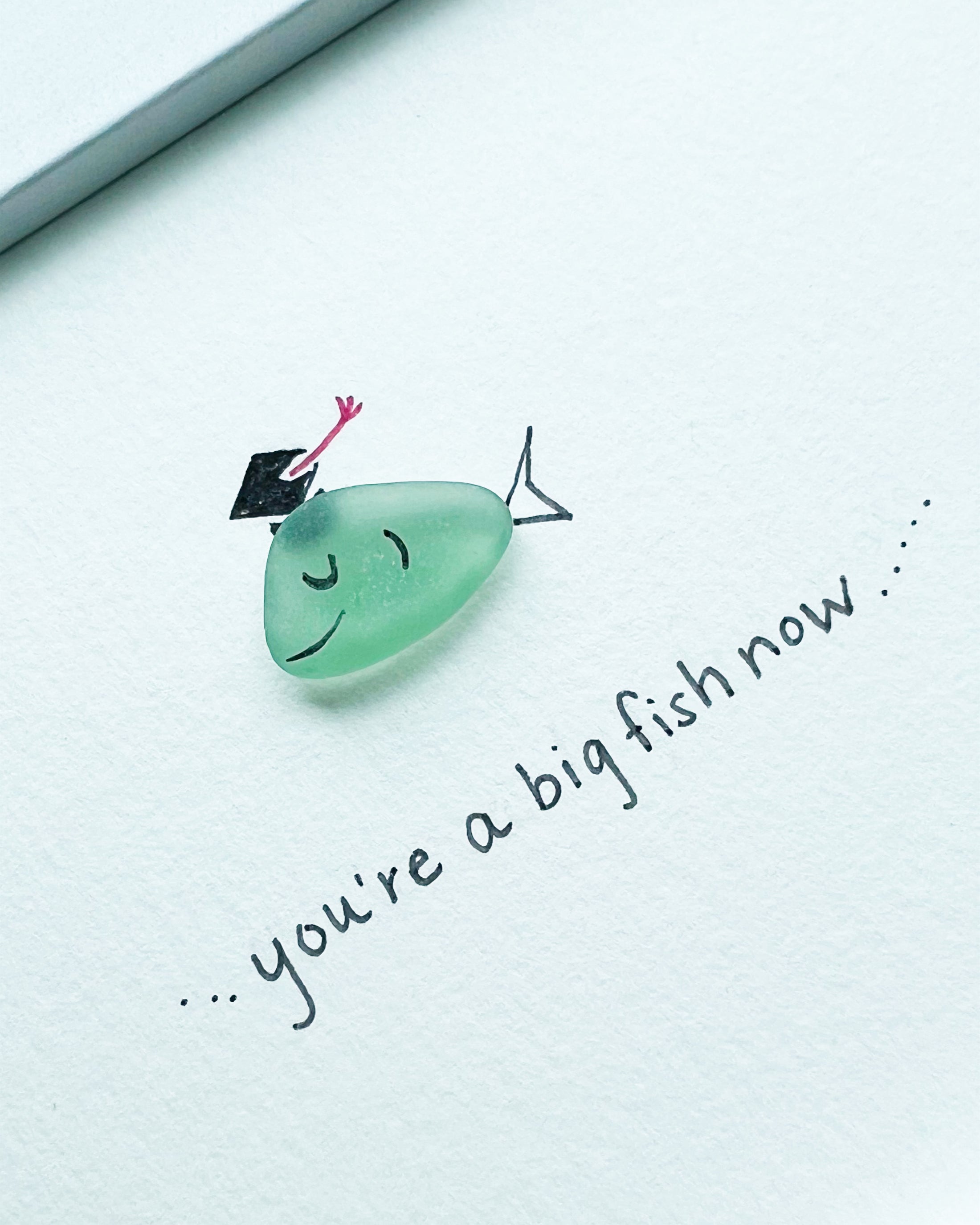 Graduation Fish Sea Glass Art – SookandHook